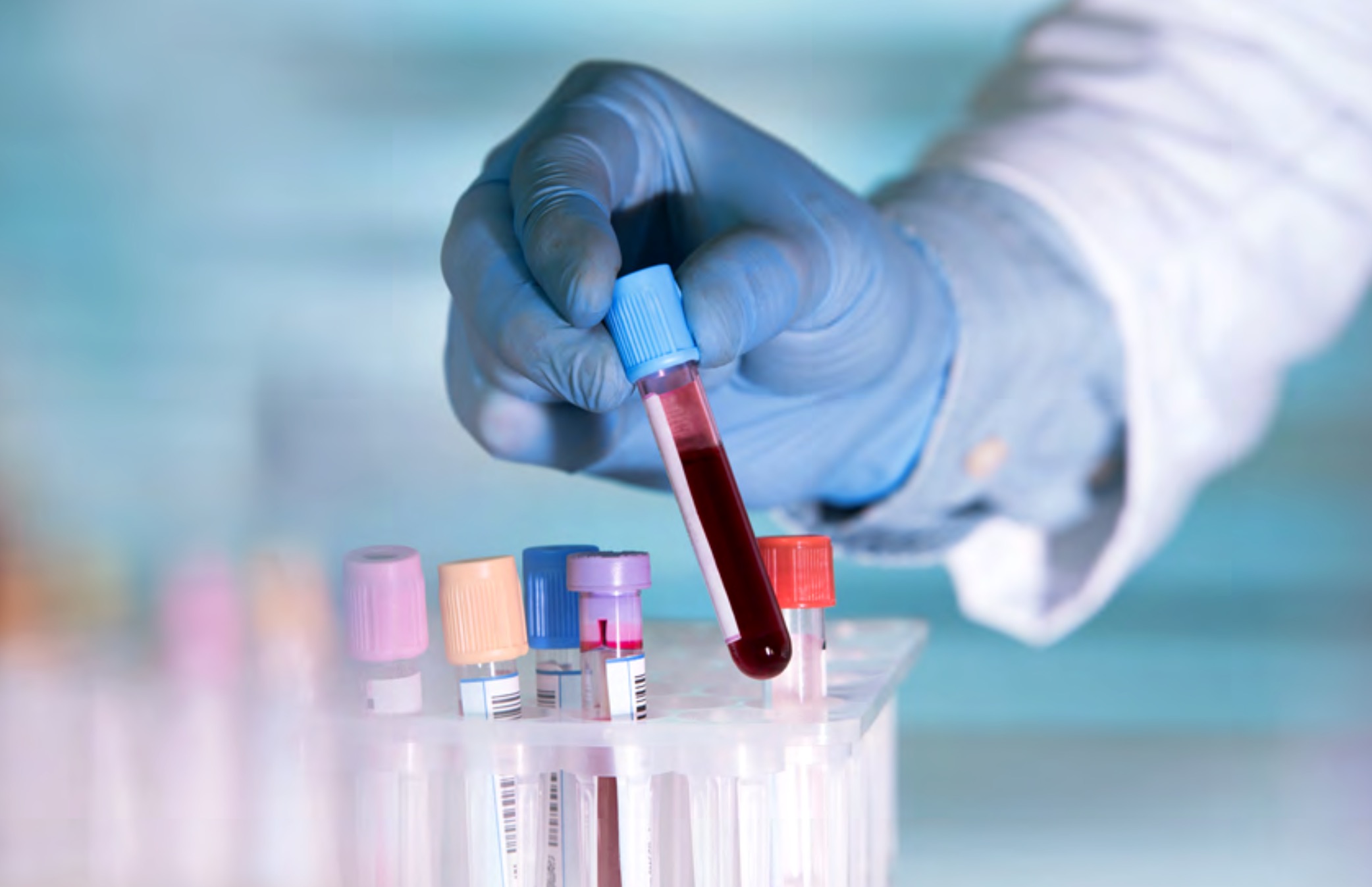 VZVZ presenteert Jaarplan 2025: 'Innovatie met impact' | VZVZ